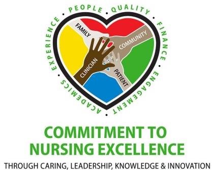 Professional Practice Model