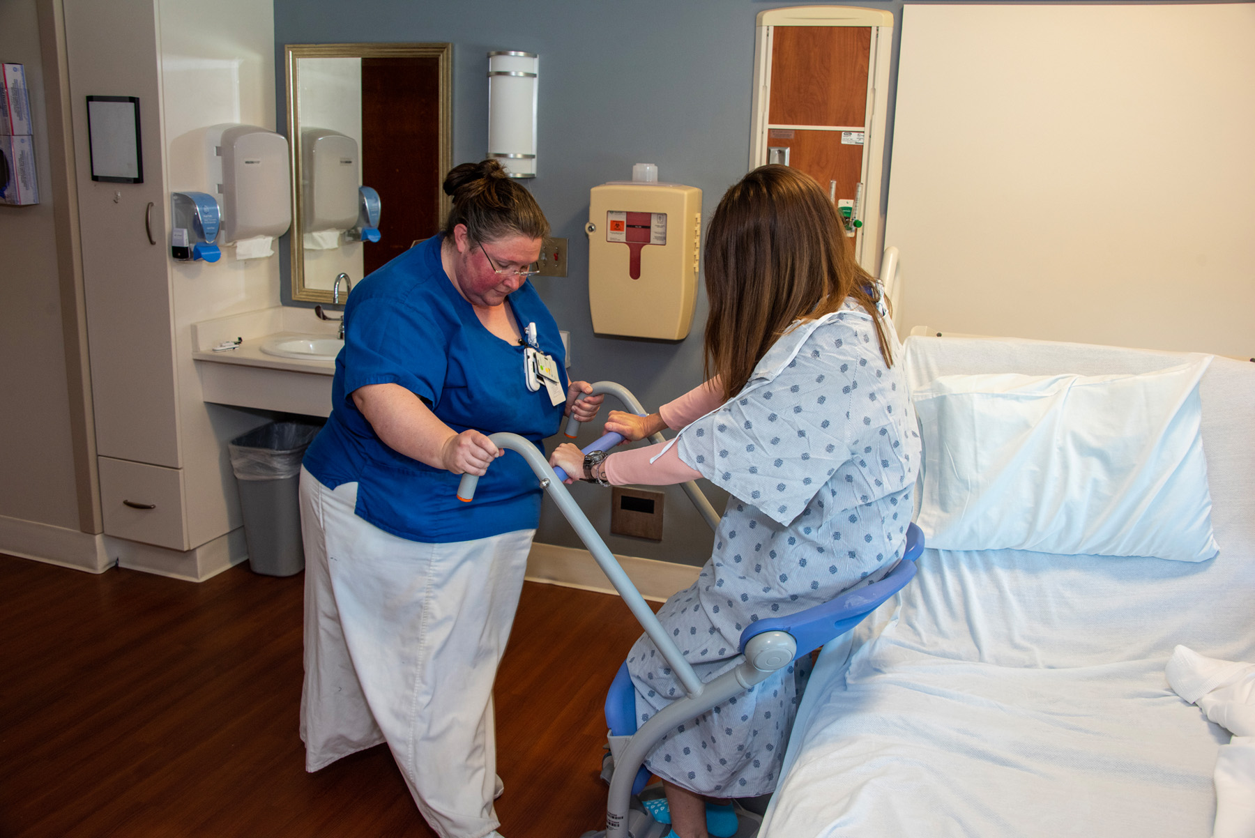 Professional Practice Model